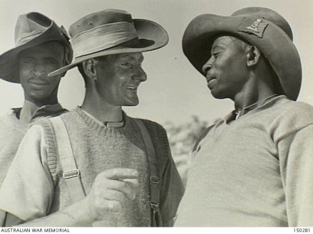 Springboks and Diggers … part of the Anzac ‘mateship’ legacy | The ...