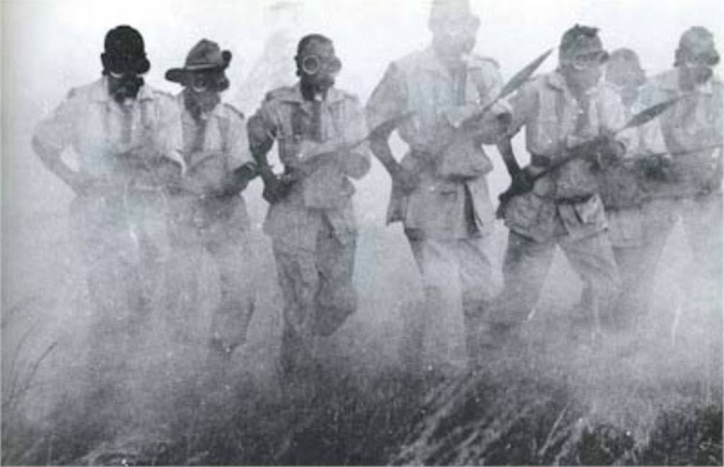 “We fought as one, black and white”; the South African Native Military ...