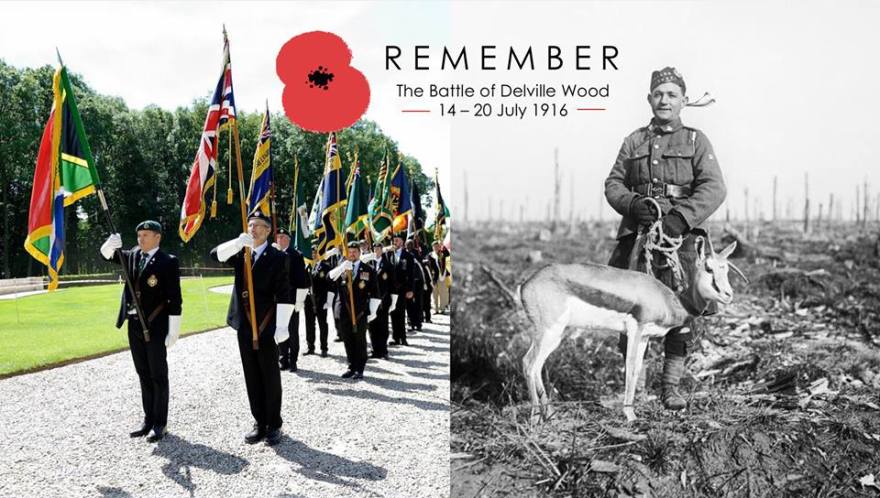 ‘Springbok Valour’… Somme 100 & the Delville Wood Centenary | The ...