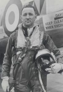 Forget Tigers, The Royal Air Force’s 74 Squadron has a legacy of South ...