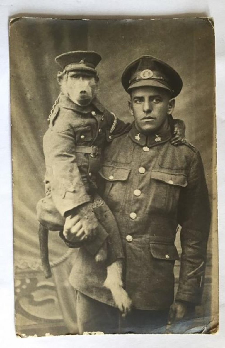 Jackie; The Baboon soldier of World War One | The Observation Post
