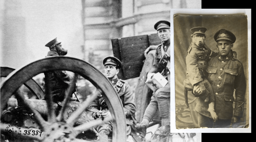 Jackie; The Baboon soldier of World War One | The Observation Post