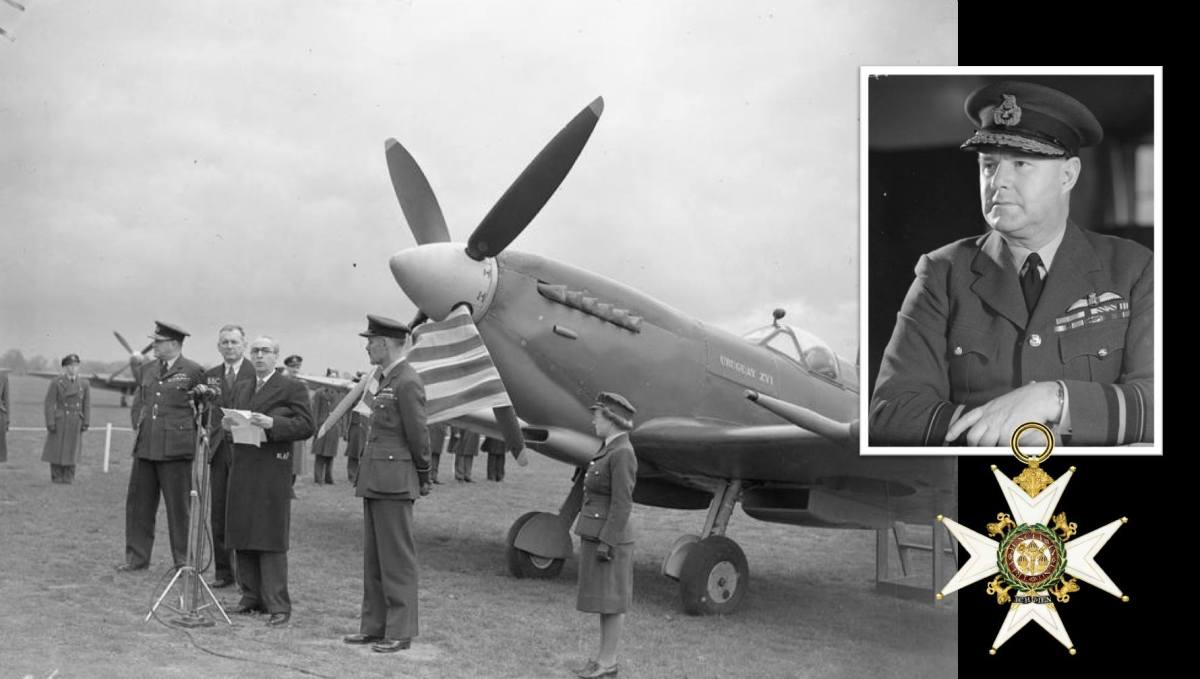 Sir ‘Dingbat’ the Knight | The Observation Post