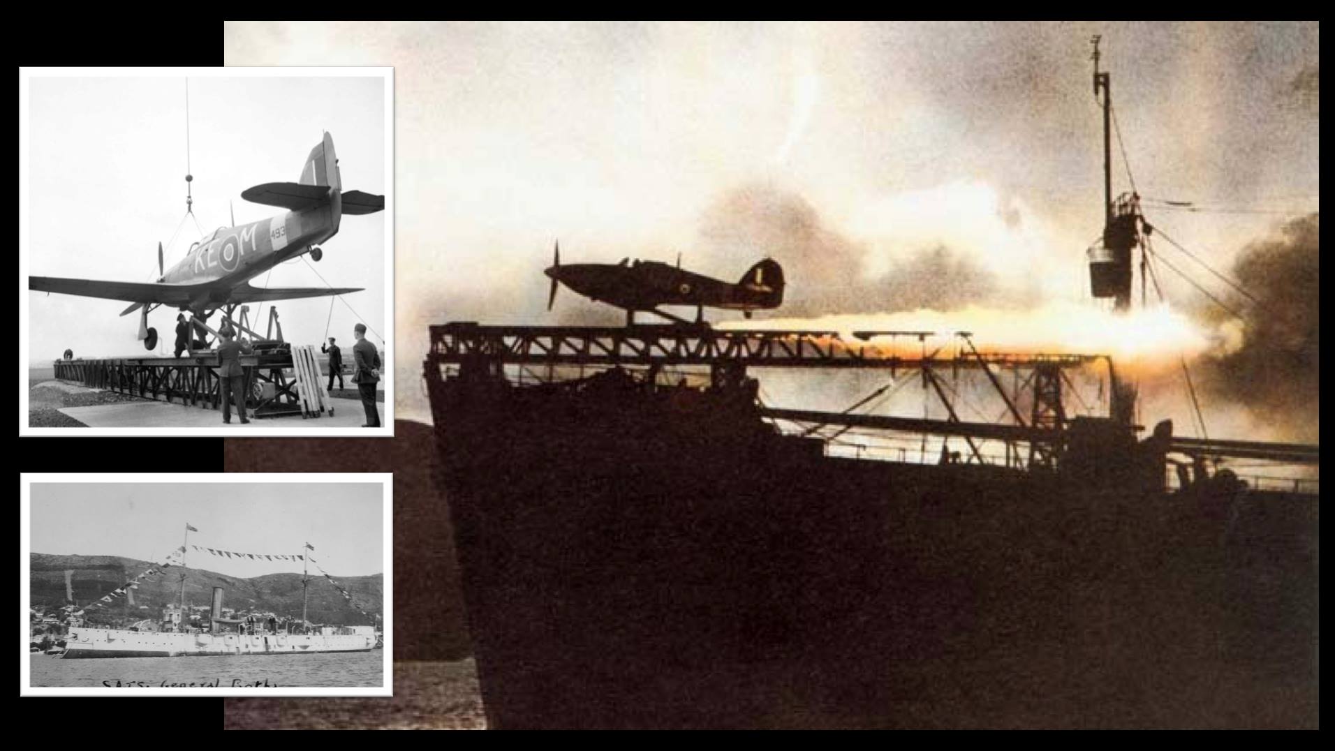 ‘Hurricat’ Hero | The Observation Post