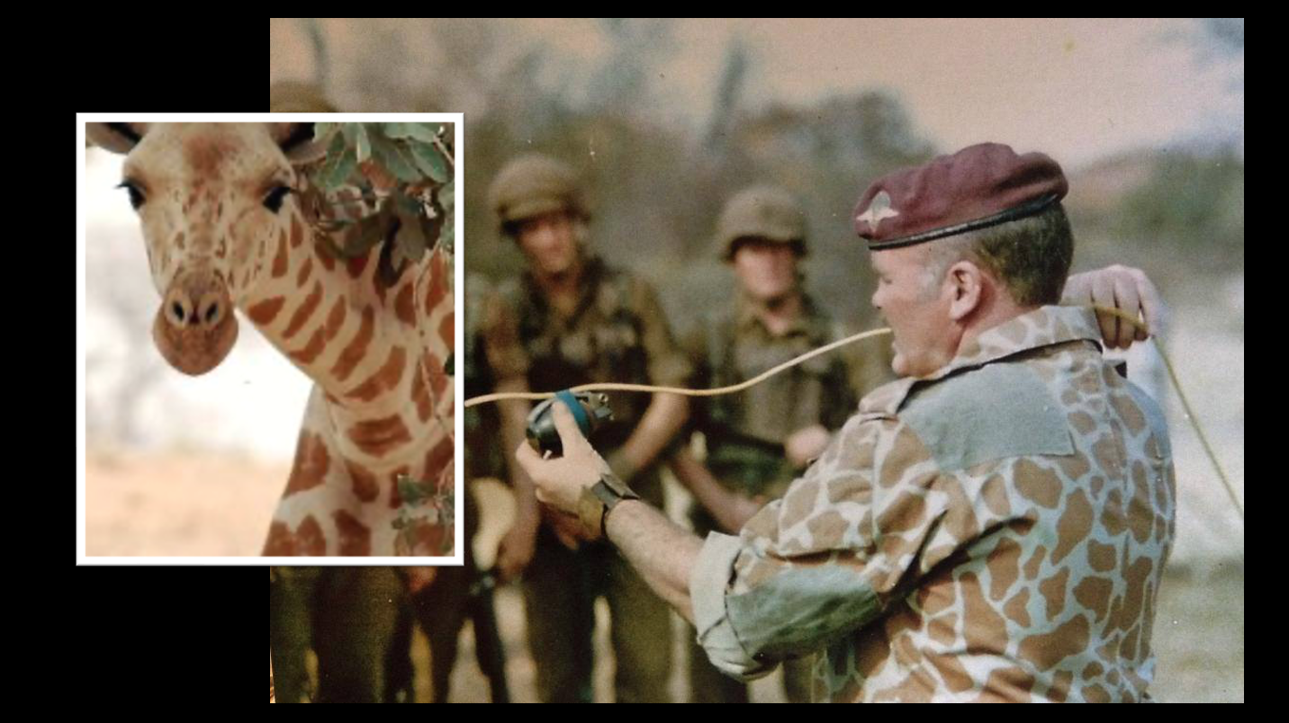 The Border War – 1966 to 1989 | The Observation Post